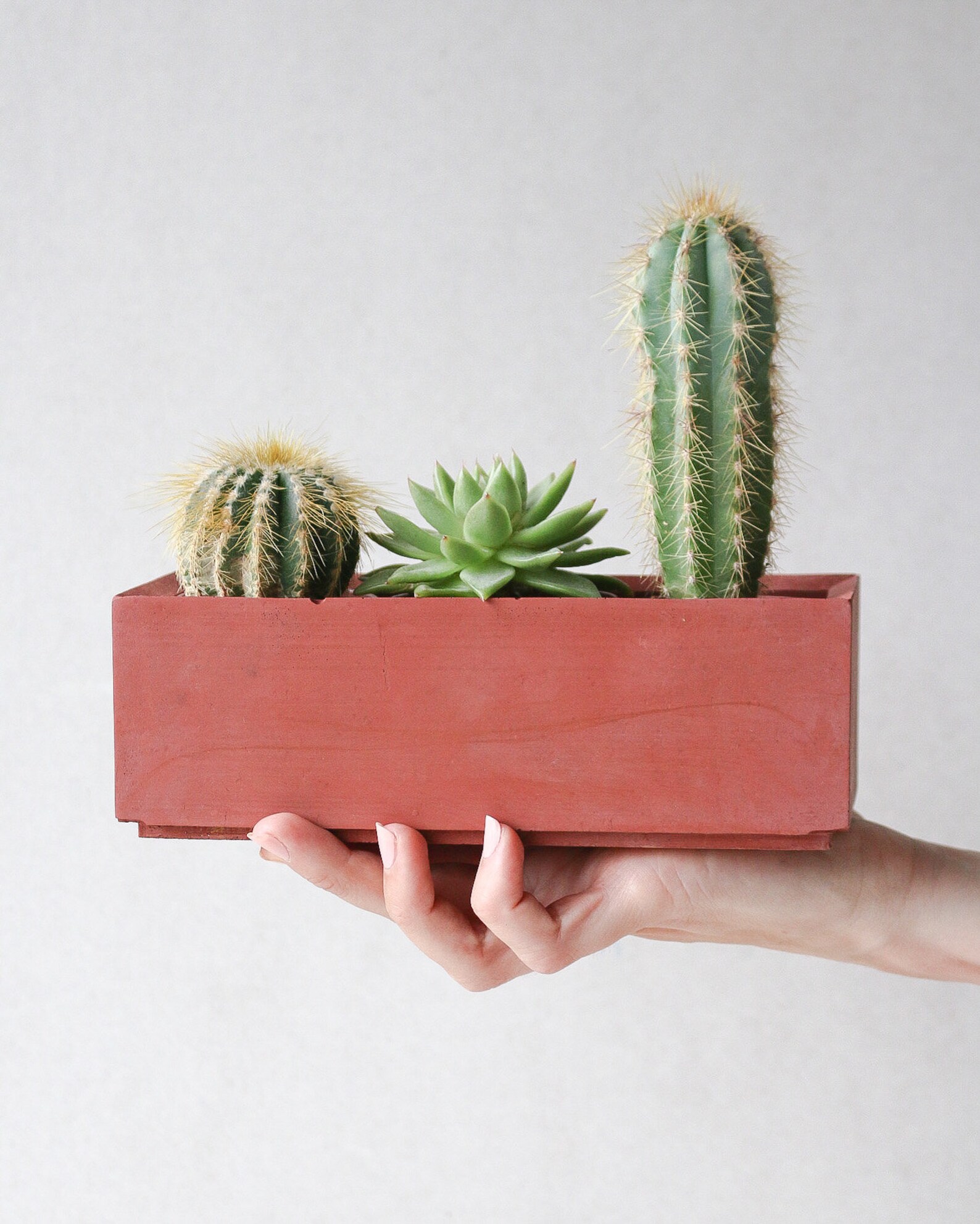 Red Terracotta Concrete Planter Box Minimalist Planter Pot - Etsy