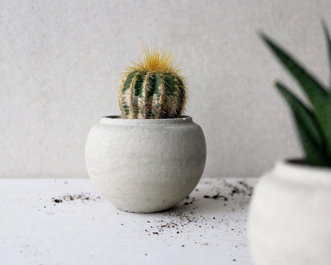 Minimalistic Sphere Concrete Planter for Succulents | Sphere ...