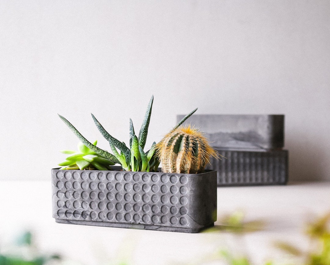 Doted Concrete Planter Box Dark Gray Polka Dot| Minimalist Planter Pot ...
