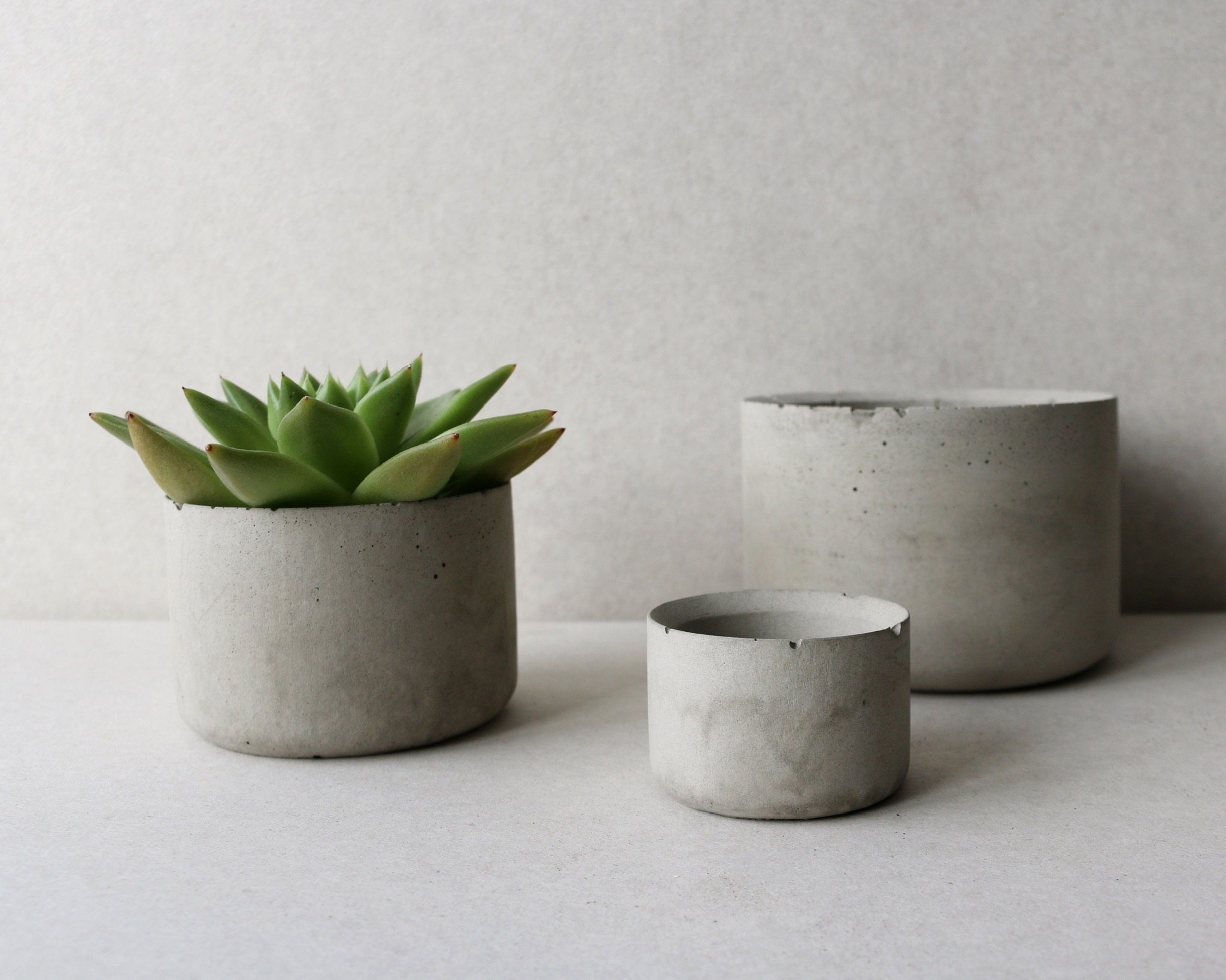 Set of 3 concrete planters Round minimalistic concrete | Etsy