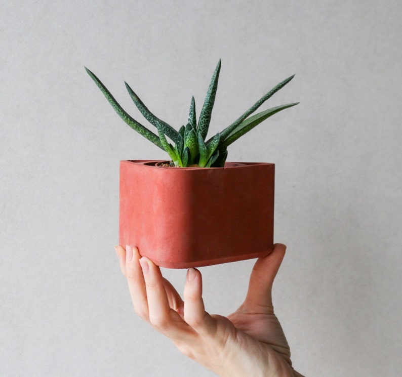 Terracotta Red Concrete Triangle Planter Minimalist Planter - Etsy
