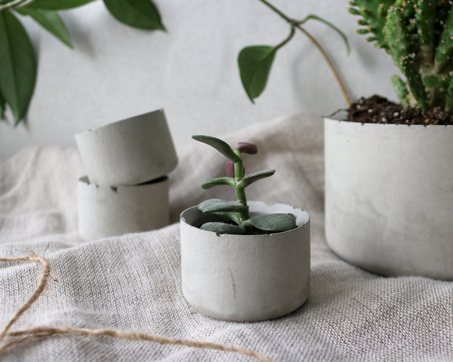 Set of 3 Small Concrete Planters Small Round Minimalistic Concrete ...