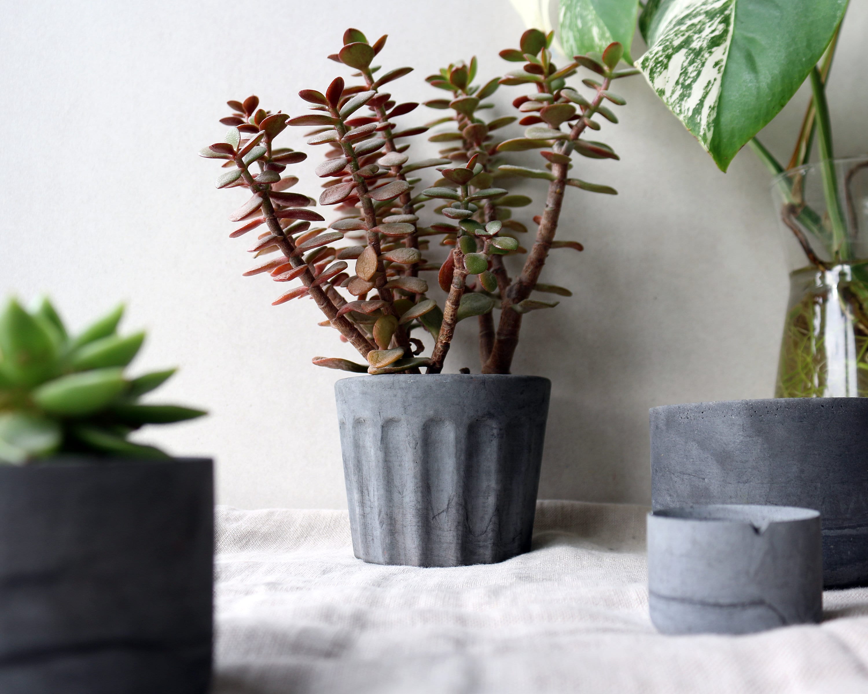 Minimalist Concrete Planter, Fluted Succulent Pot, Modern Scandinavian ...