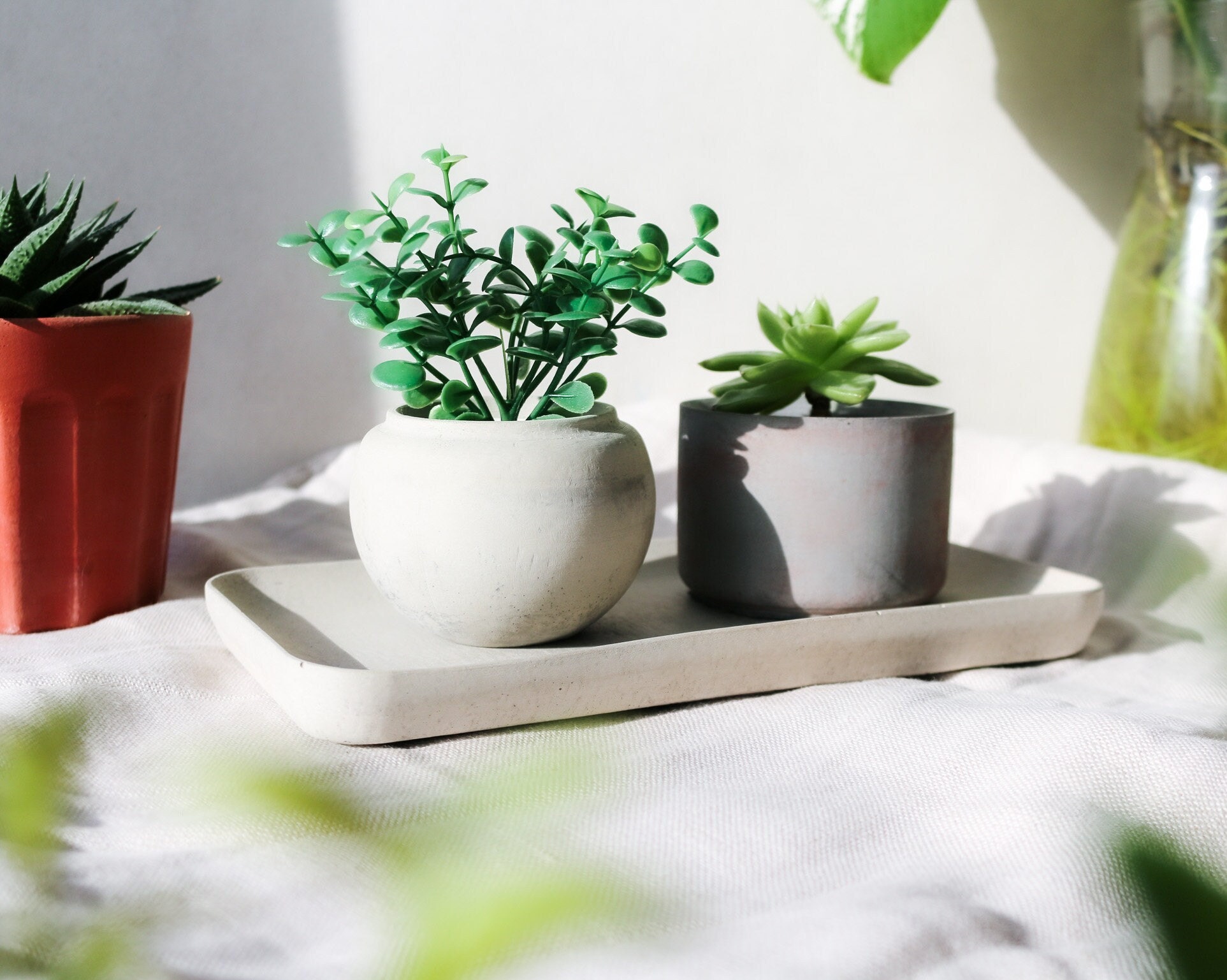 Grey Concrete Tray for Planters | Minimalist Tray | Planter Saucer ...
