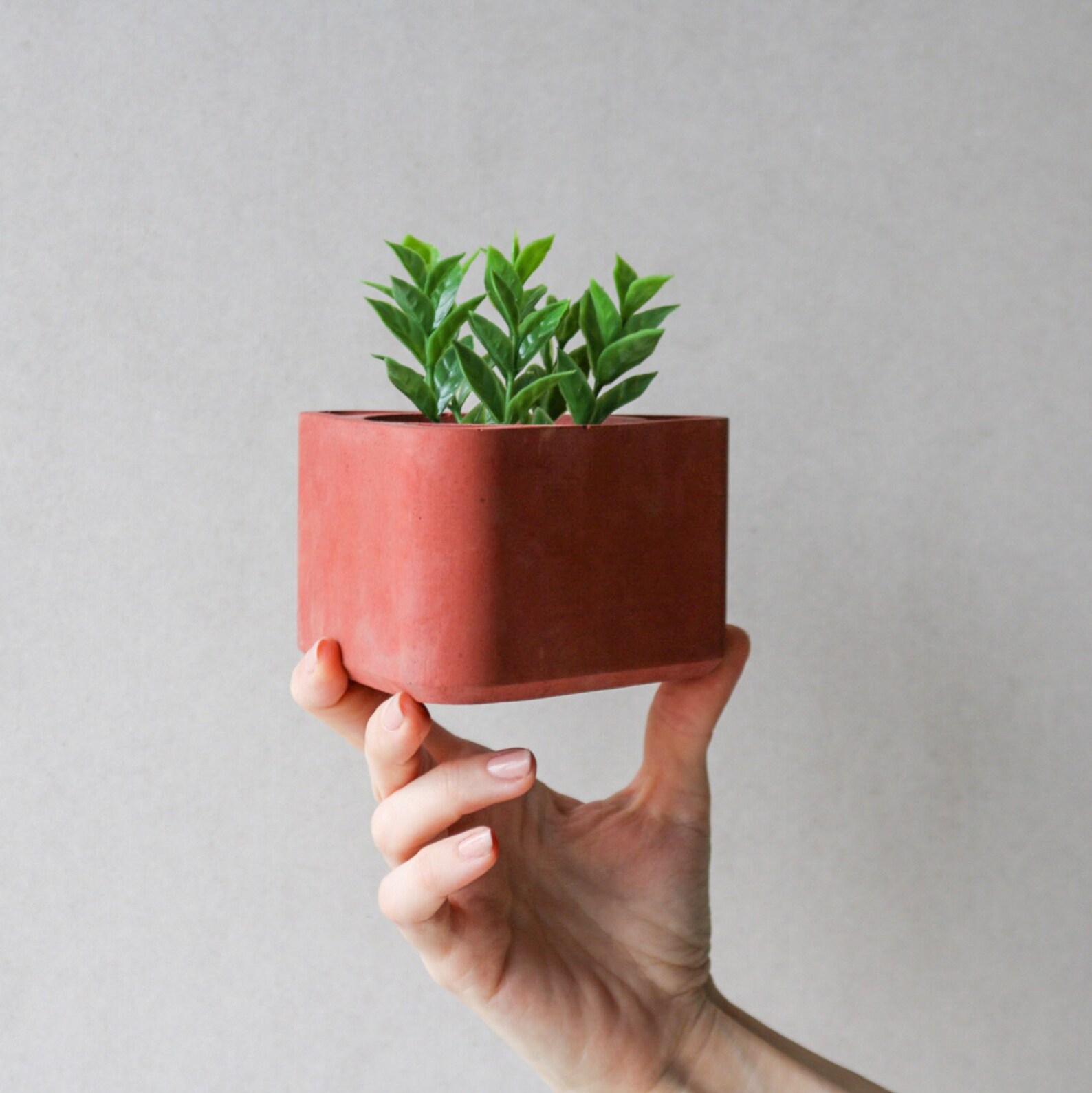 Terracotta Red Concrete Triangle Planter Minimalist Planter - Etsy