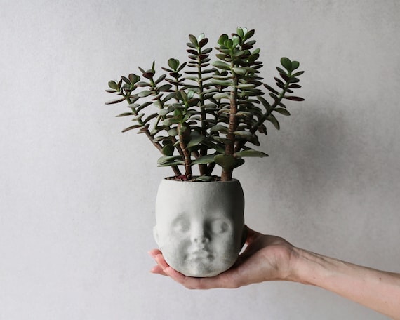 Large Baby Head Planter Concrete Head Planter Succulent - Etsy