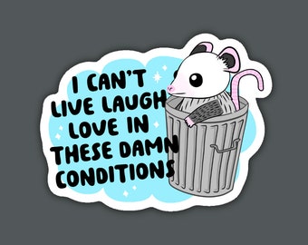 Opossum Sticker Trash Can I Can't Live Laugh Love in These Dm Condition ...
