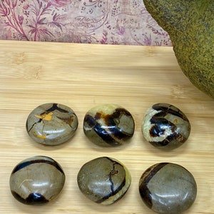 Septarian Stone | Septarian Palm Stone | Fossils | Palm Stones | Pocket ...
