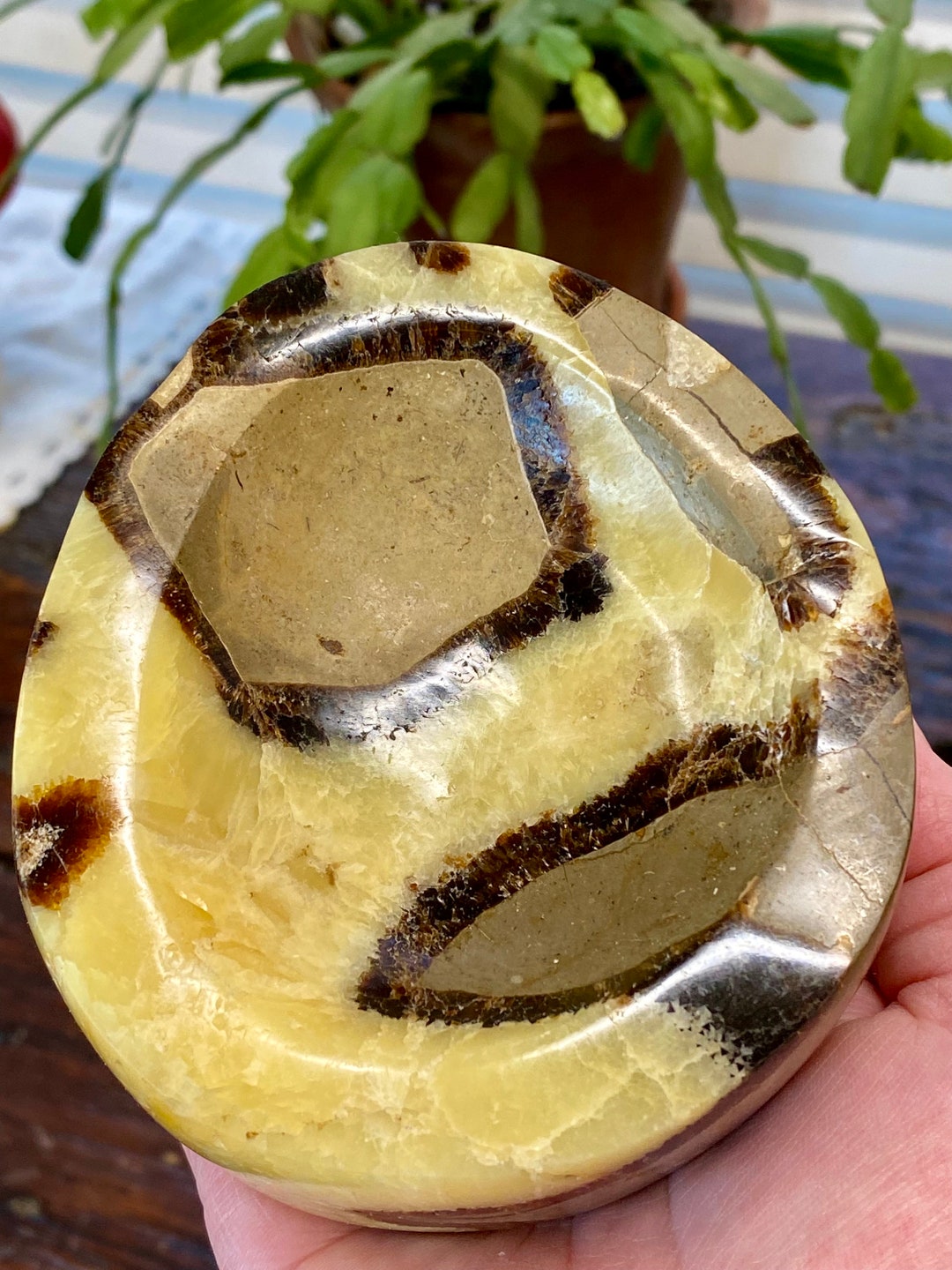 Septarian Stone | Septarian Bowl | Fossils | Crystal Bowls | Fossils ...