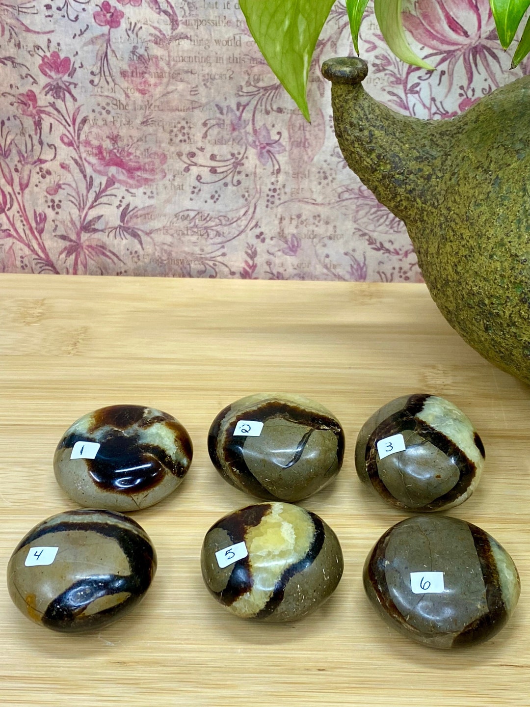Septarian Stone | Septarian Palm Stone | Fossils | Palm Stones | Pocket ...