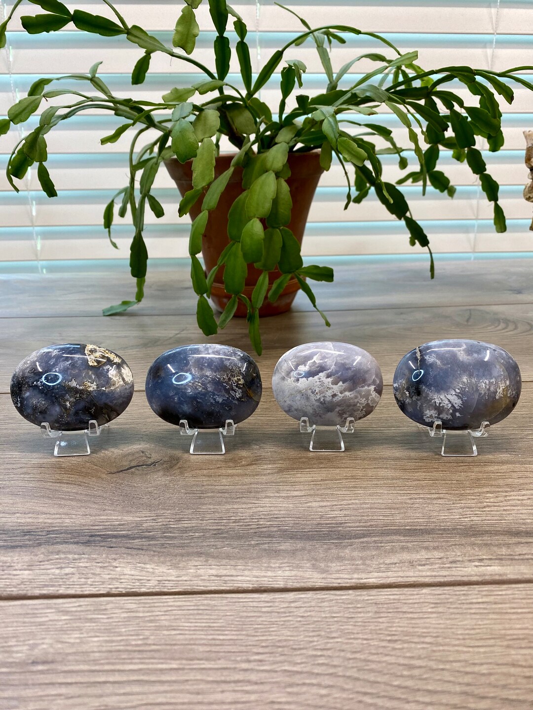 Blue Plume Agate Palms | Blue Plume Agate | Crystal Palm Stones | Palm ...