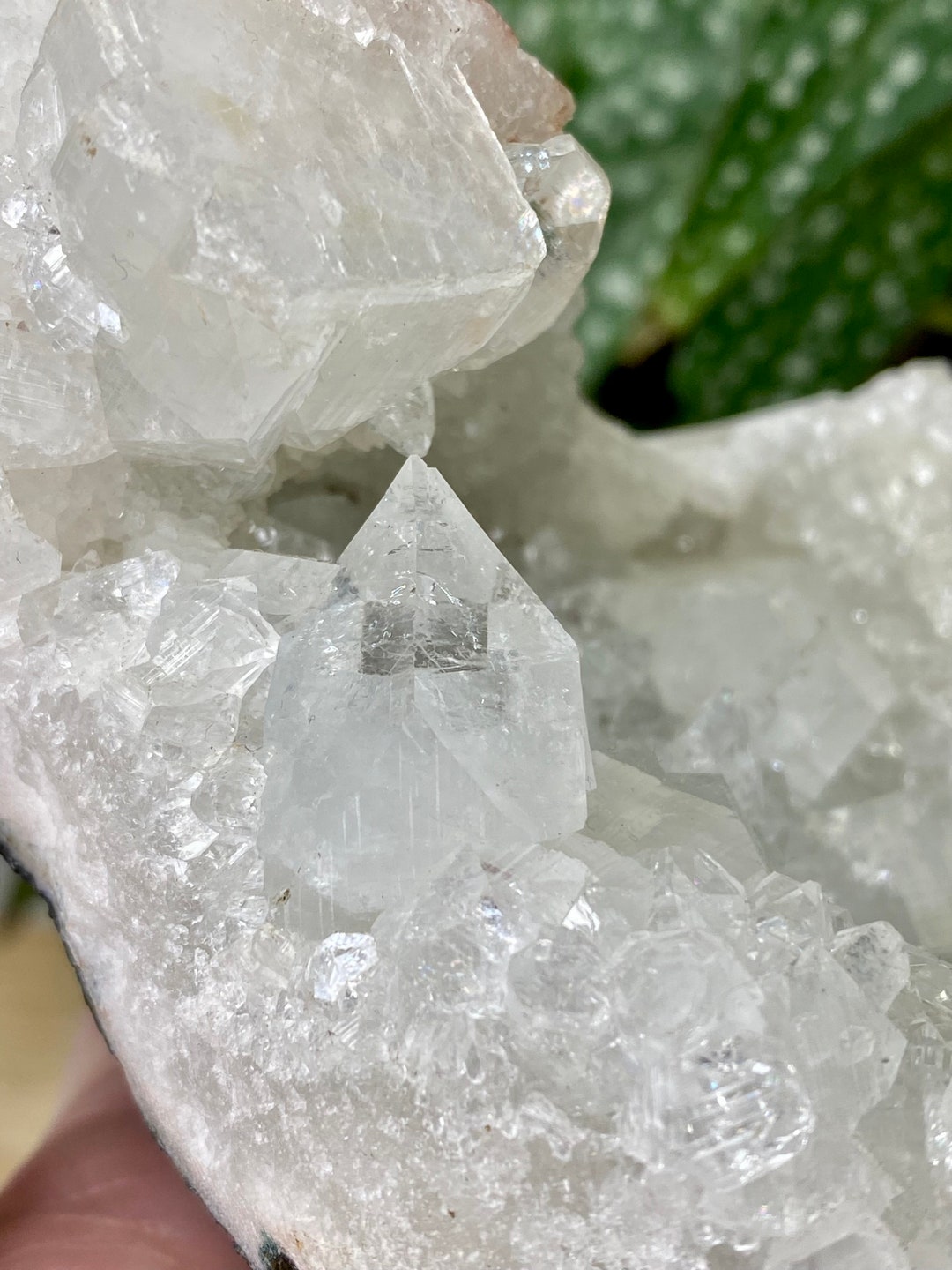 Apophyllite Cluster, Apophyllite, Clusters, Crystals - Etsy