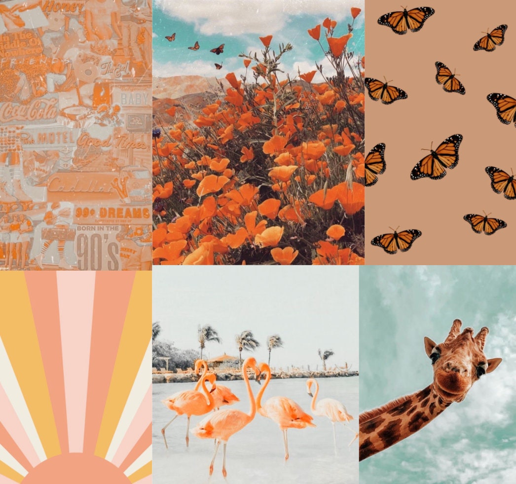 Trendy Peachy Vibes Aesthetic Wall Collage Kit - Digital Download ...