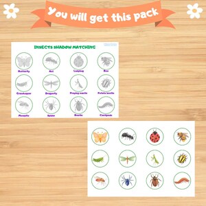 Insect Shadow Matching Printable Worksheet for Kids – 12 Cute Bug ...