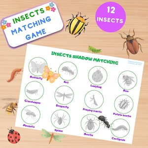 Insect Shadow Matching Printable Worksheet for Kids – 12 Cute Bug ...