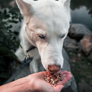 Ruff Food Real Meat Food Freeze Dried Meals for Dogs. Adventure Real ...