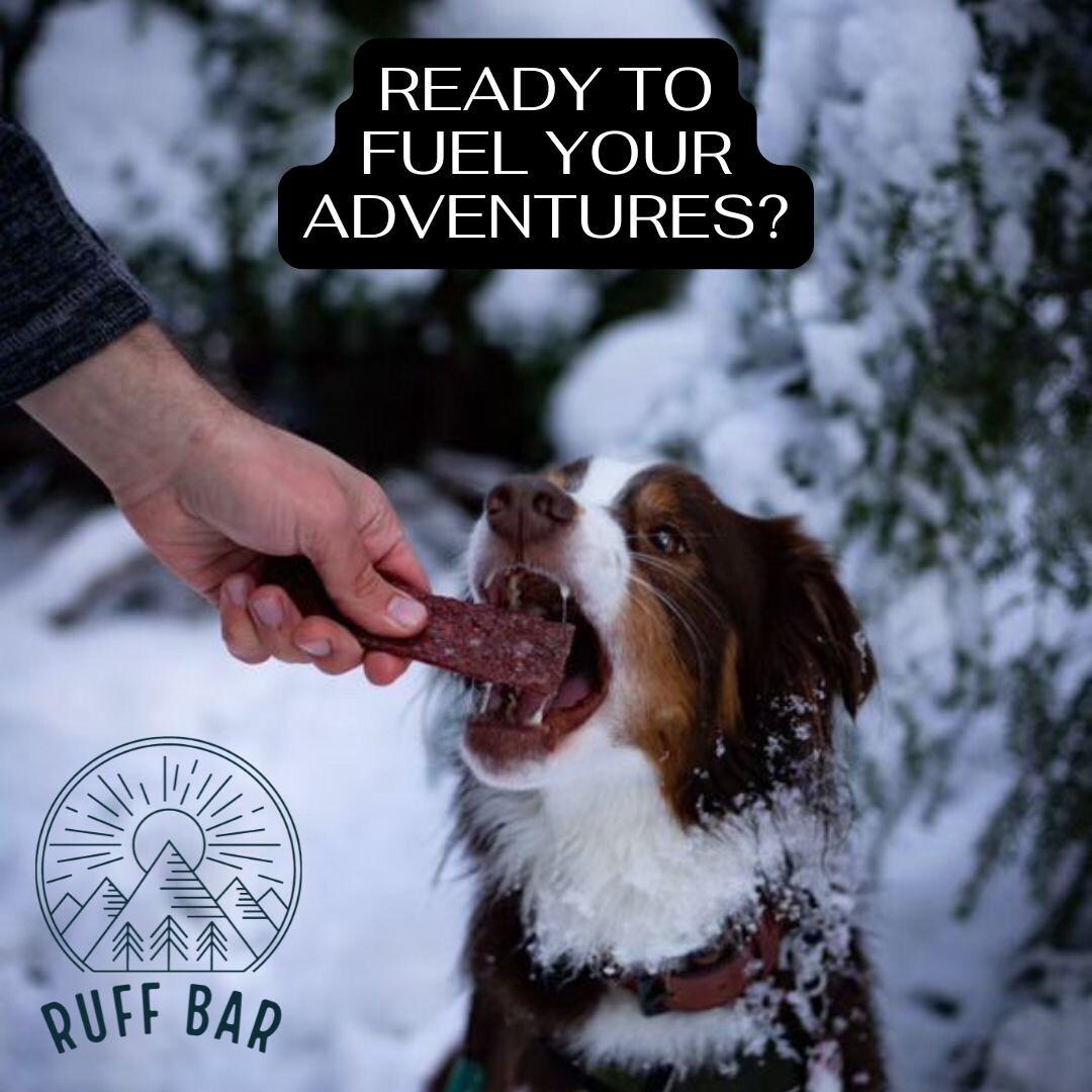 Ruff Bars (5 Pack) - the First Adventure Protein Energy Bar for Dogs ...