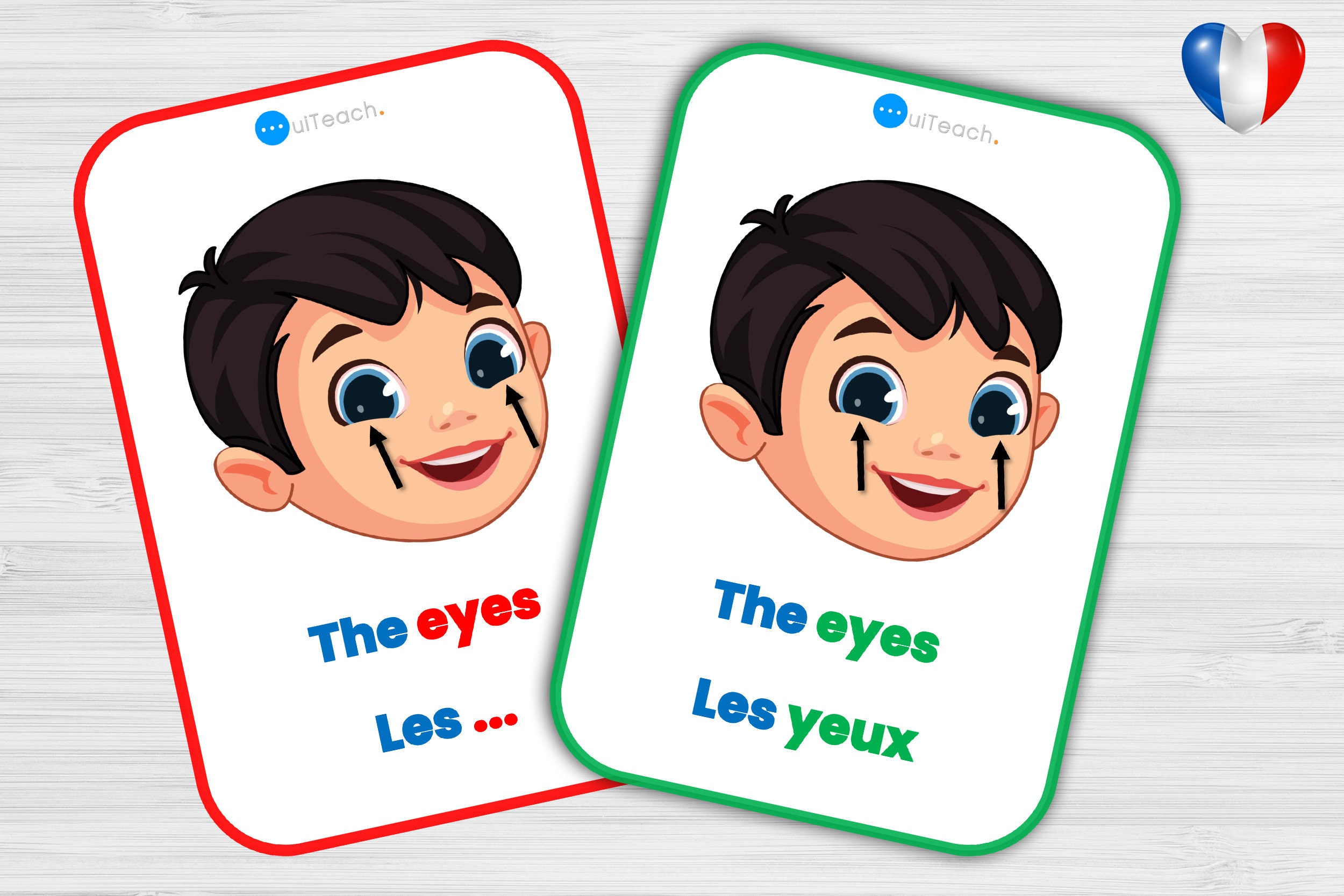 French Learning Cards 14 Flash Cards About Face Parts That Will Help ...