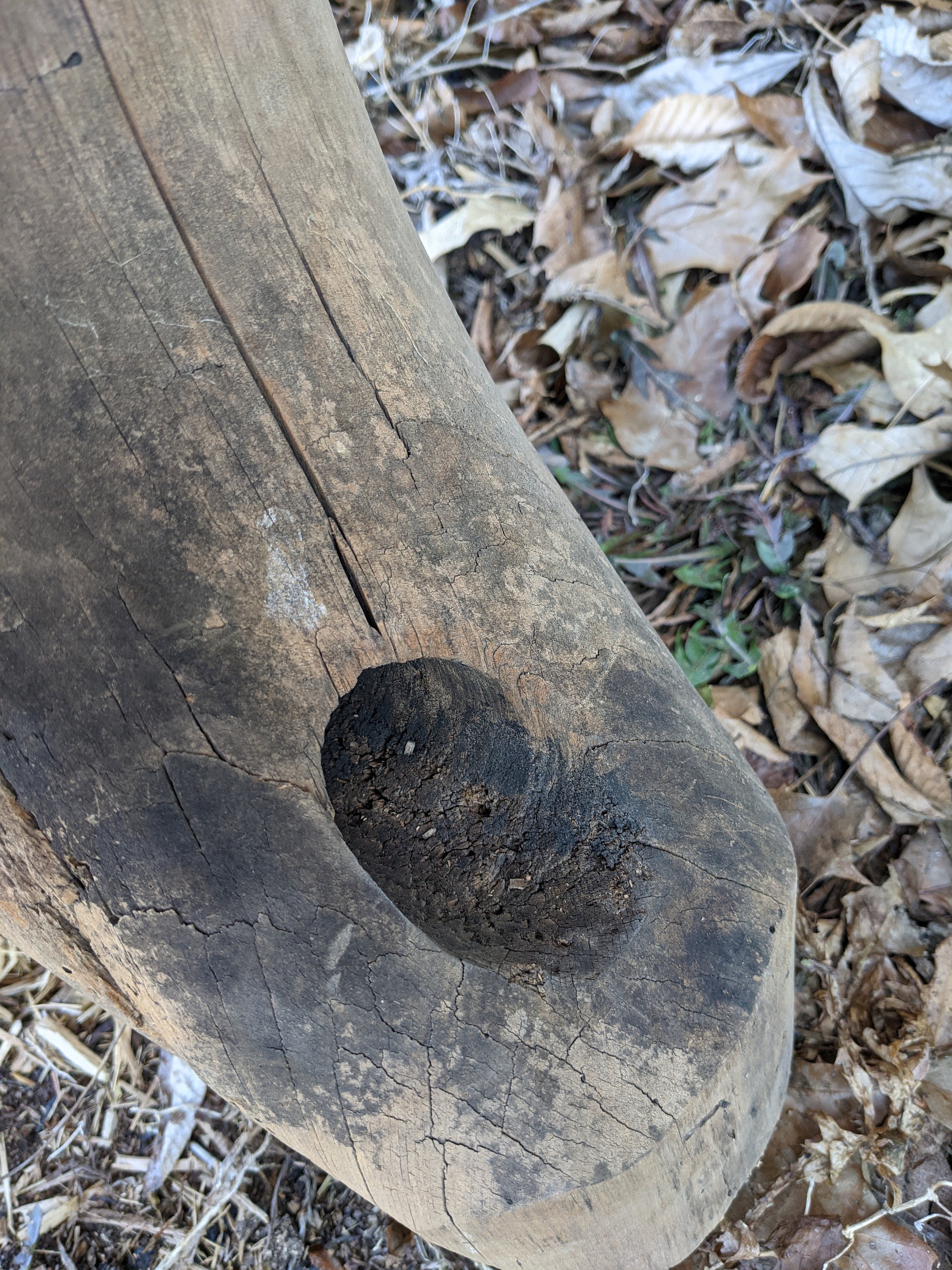 Antique Oxen Yoke - Primitive Farm Tool - Rustic Oxen Yoke - - Etsy