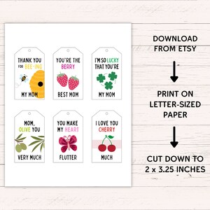 Cute Printable Mother's Day Gift Tag Bundle With Puns - PDF Digital ...