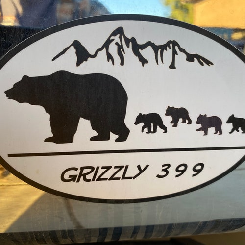 Grizzly 3D Sticker Cracked Window Decal Brown Bear Decal - Etsy