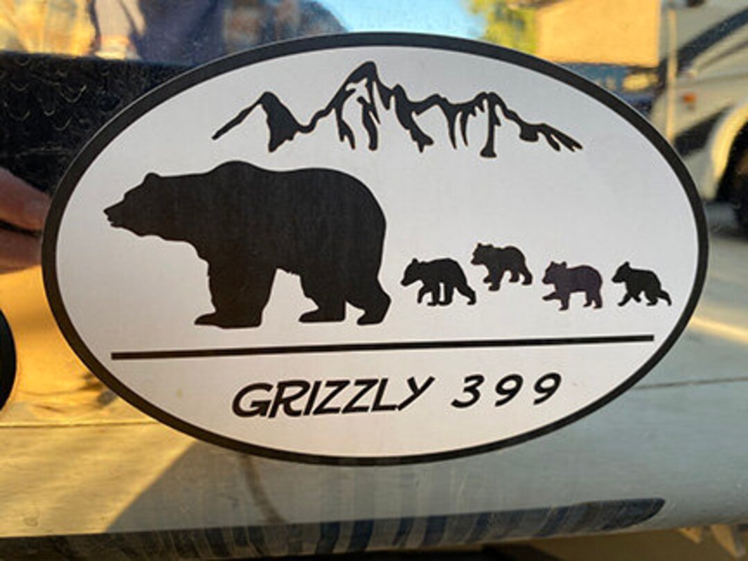 Grizzly Bear 399 Decal Sticker Oval - Etsy