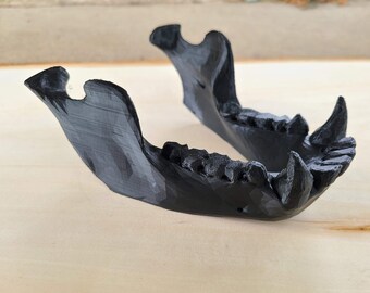 3d Printed Mandible - Etsy
