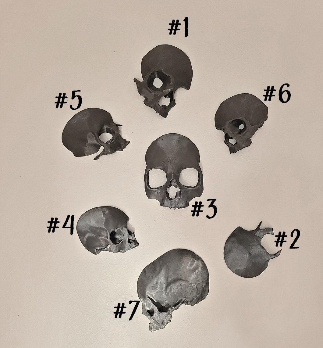 SET OF 7 Skulls Submerged Human Skulls 3D Printed Skulls Illusion ...