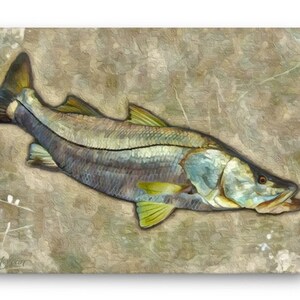 SNOOK Fish Inshore Fine Art Canvas Giclee Print - Florida Everglades ...