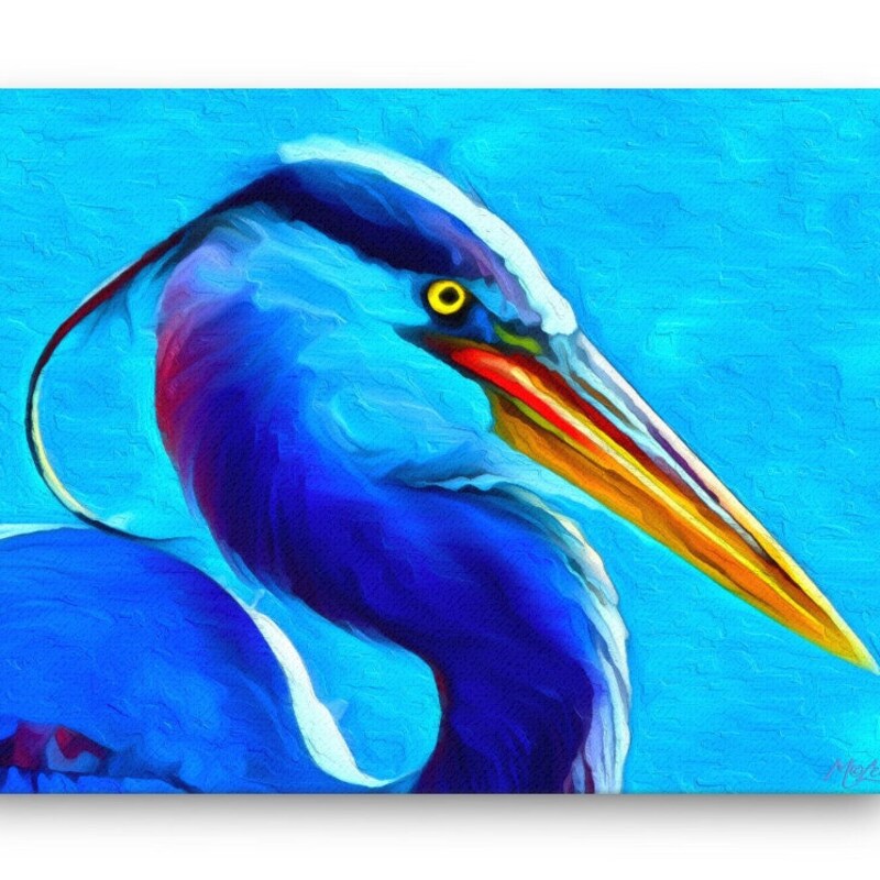 Florida Bird Art - Etsy