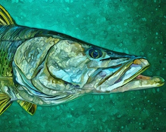 SNOOK Fine Art Canvas Giclee Print - Florida Everglades Fish Gift ...