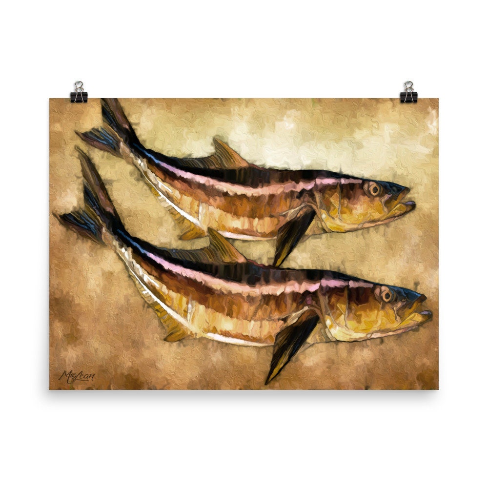 COBIA LING Ocean Fish Fine Art Canvas Giclee Print - Florida Everglades ...