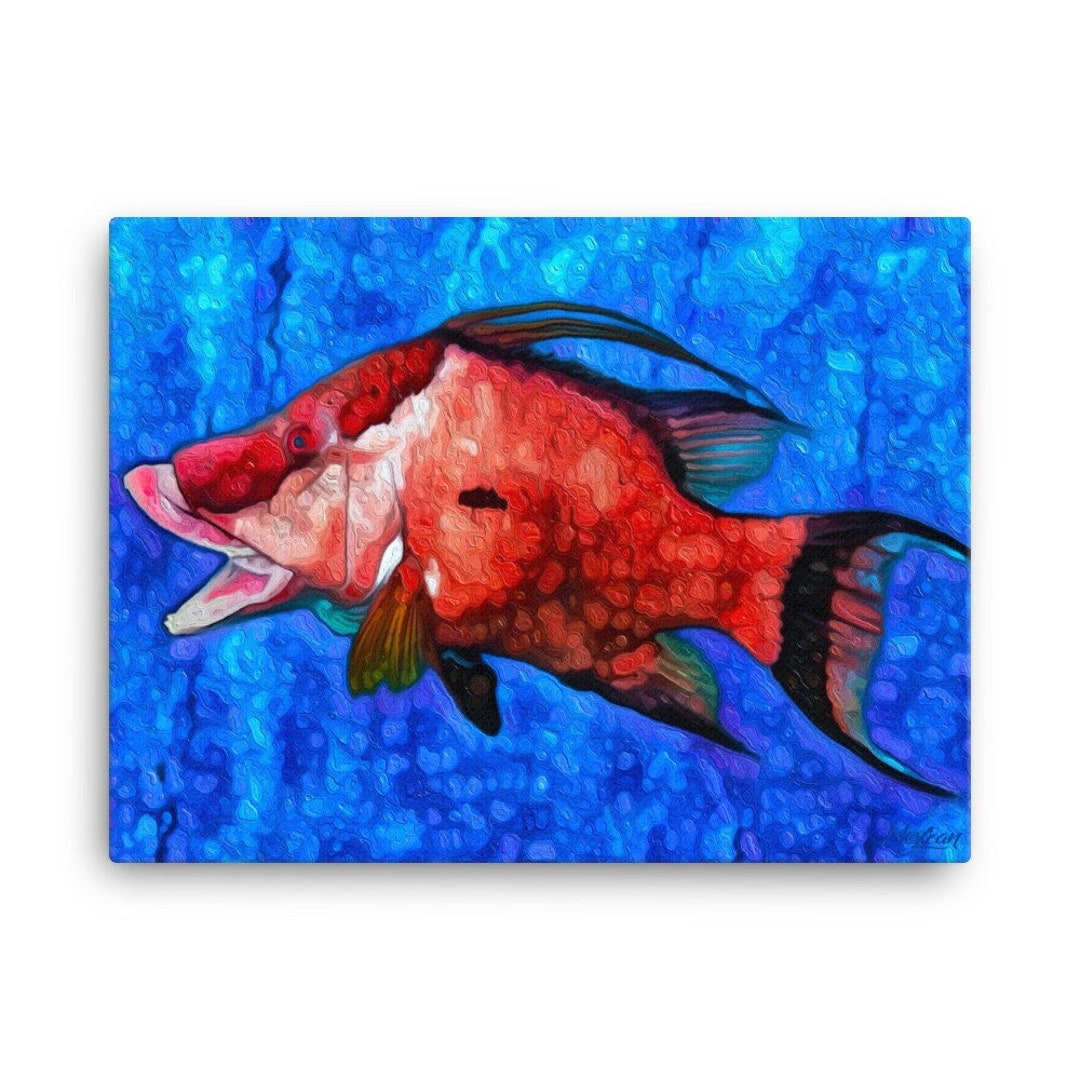 HOGFISH Tropical Fish Fine Art Canvas Giclee Print - Florida Everglades ...