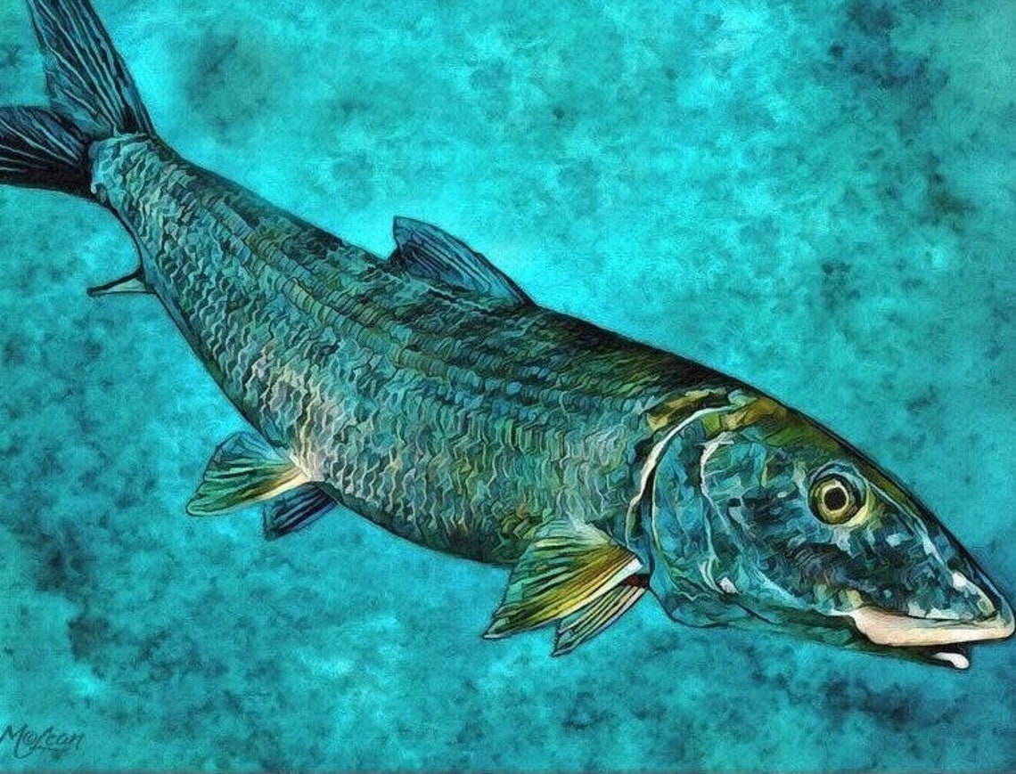 BONEFISH Ocean Fish Wall Art Print Fishing Wildlife Gifts - Etsy
