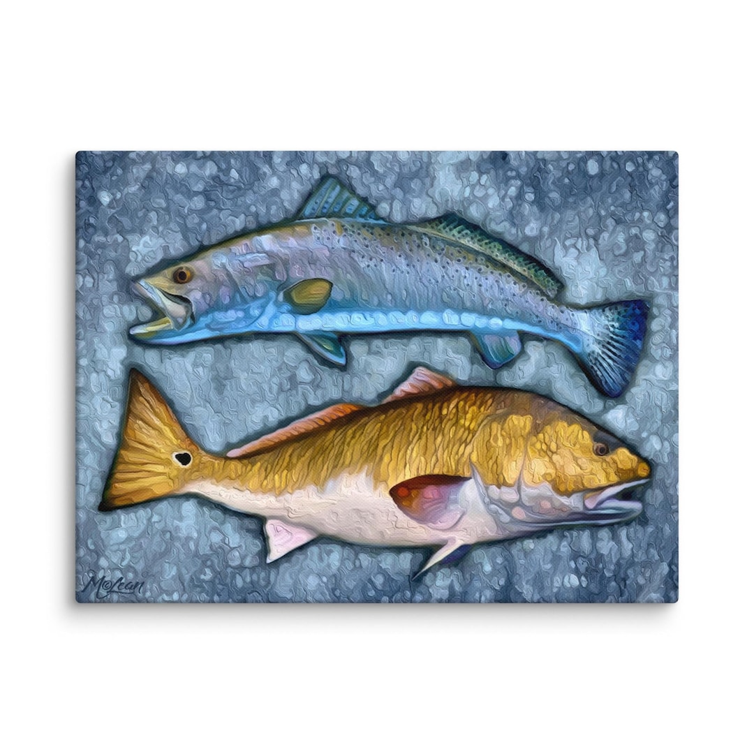 REDFISH Speckled Spotted SEATROUT Fine Art Canvas Giclee Print ...