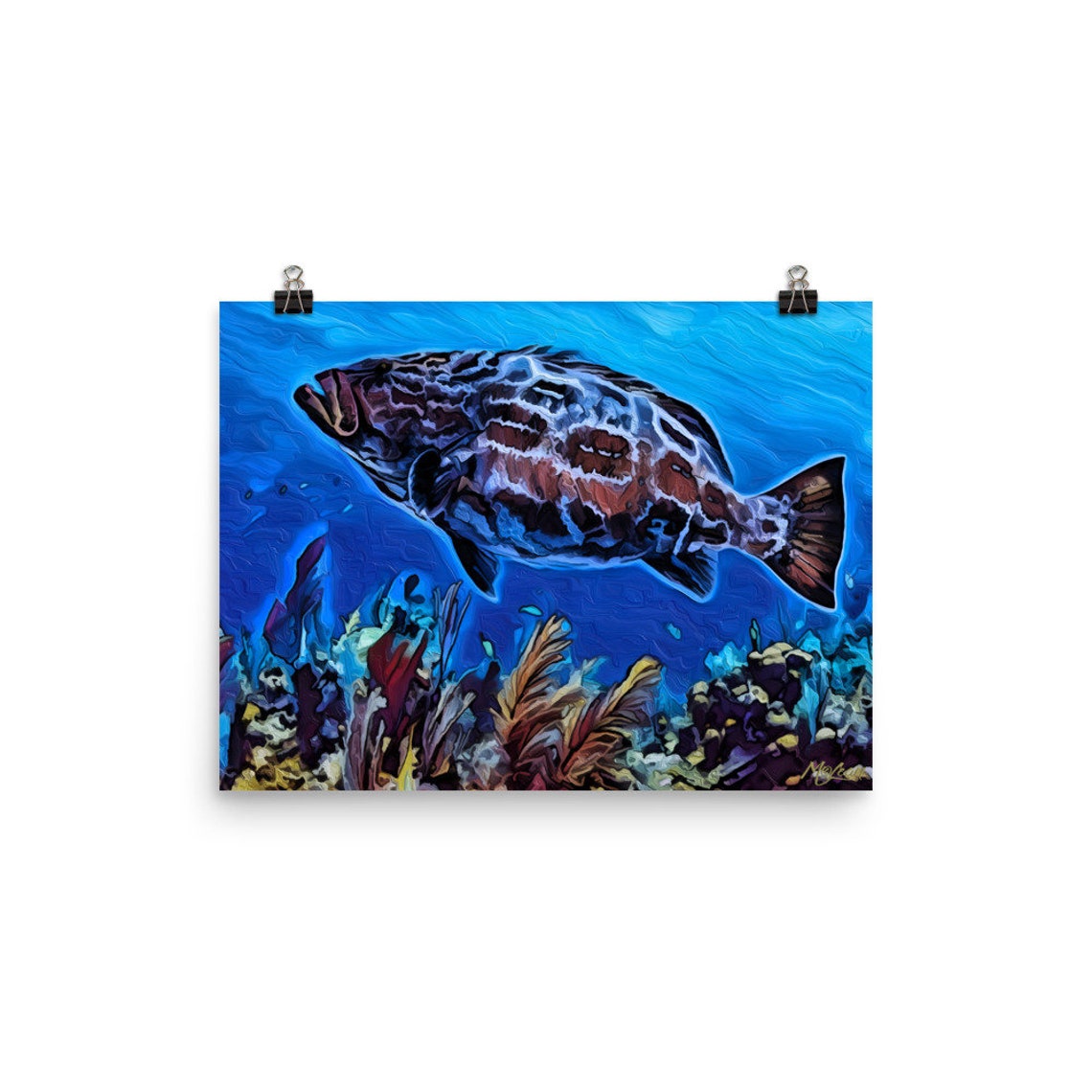 GROUPER Tropical Fish Fine Art Canvas Giclee Print - Florida Everglades ...