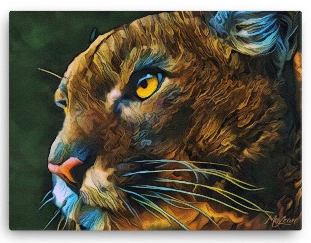 FLORIDA PANTHER Animal Fine Art Canvas Giclee Print - Everglades ...