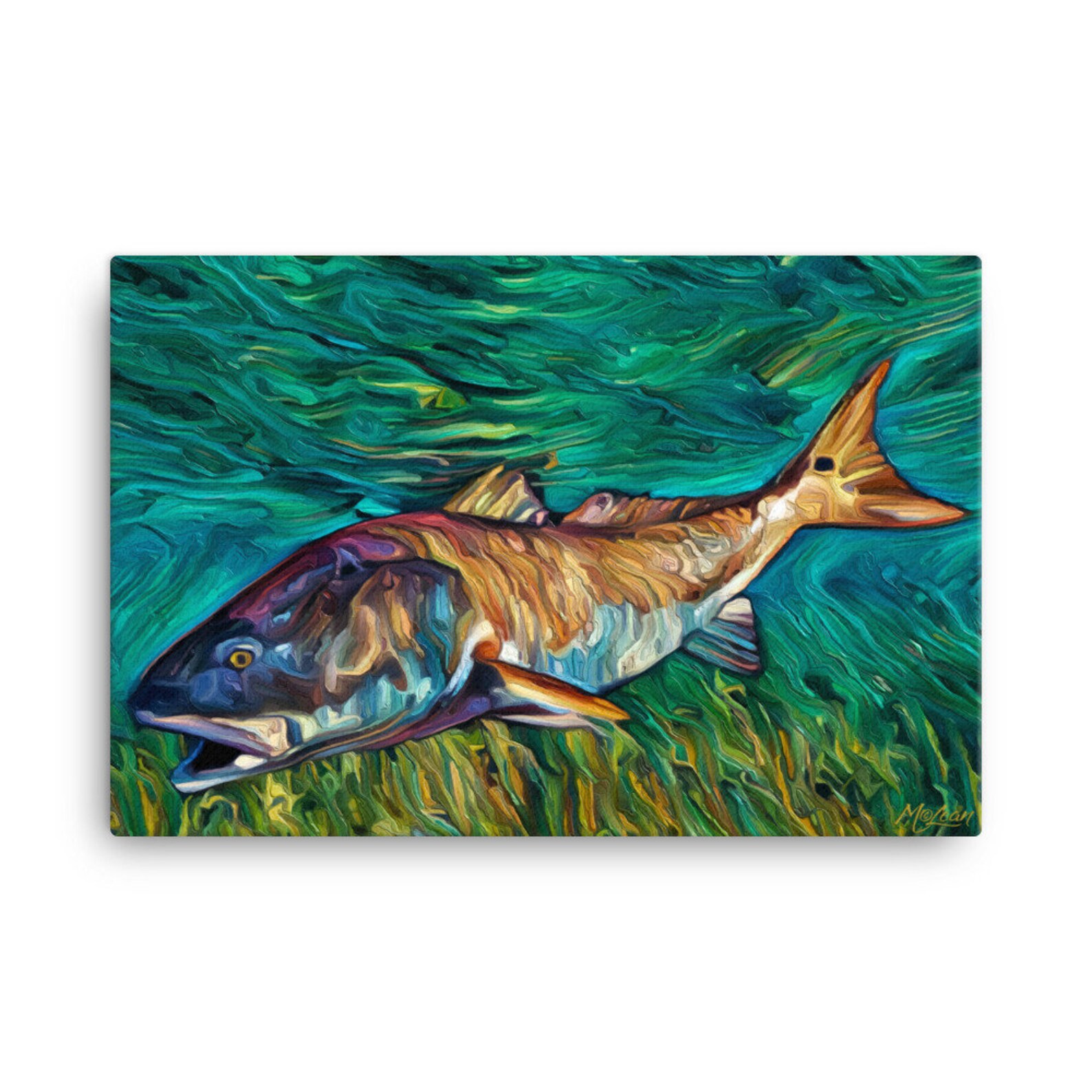 REDFISH red Drum Inshore Fine Art Canvas Giclee Print Florida ...