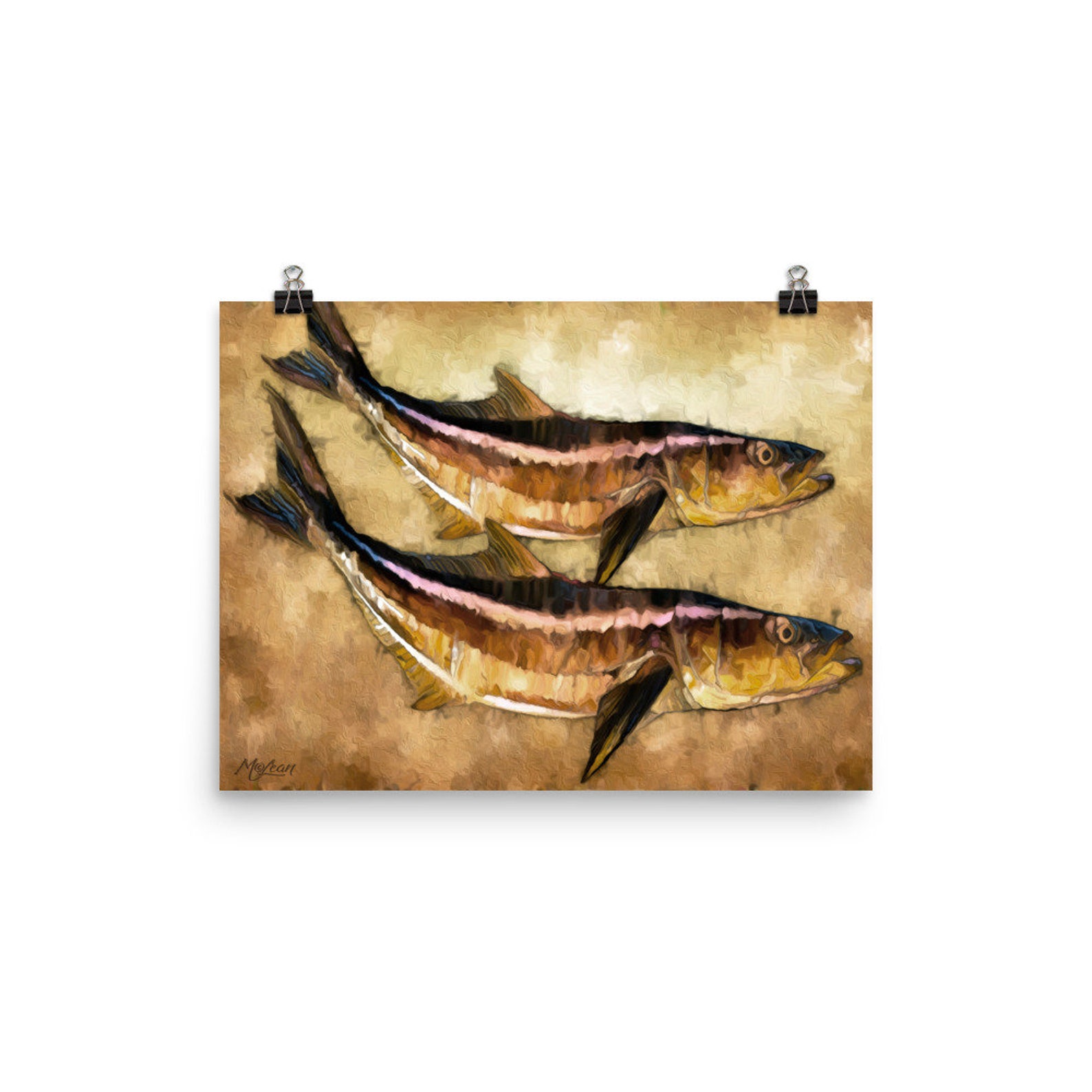 COBIA LING Ocean Fish Fine Art Canvas Giclee Print - Florida Everglades ...