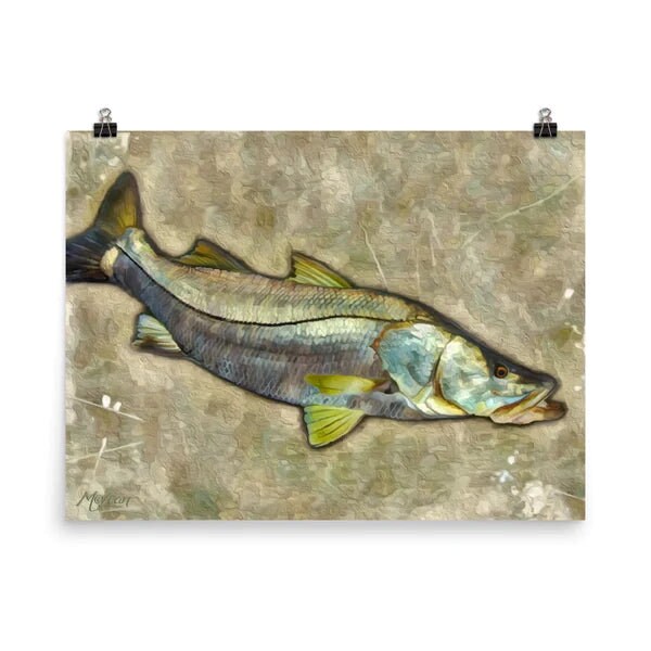 SNOOK Fish Inshore Fine Art Canvas Giclee Print - Florida Everglades ...