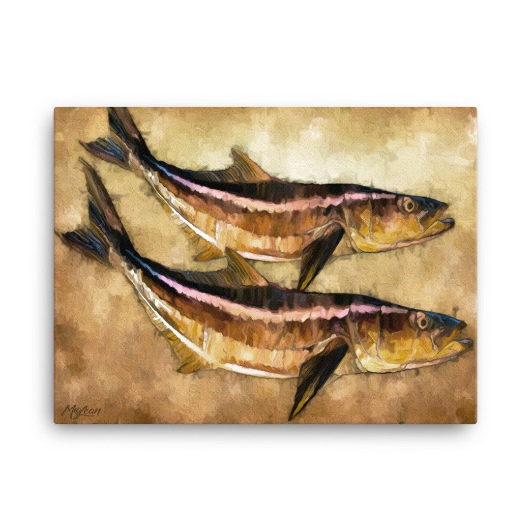 COBIA LING Ocean Fish Fine Art Canvas Giclee Print - Florida Everglades ...