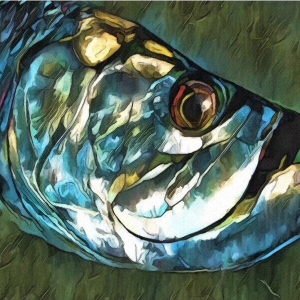 Tarpon Art - Etsy