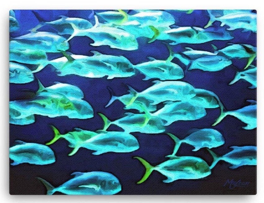 JACK CREVALLE Ocean Fish Wall Art Print Fishing Wildlife - Etsy UK