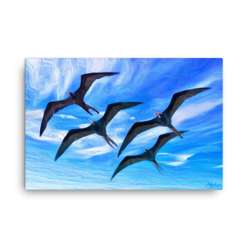 FRIGATE BIRD Fine Art Canvas Giclee Print - Florida Everglades Wildlife ...