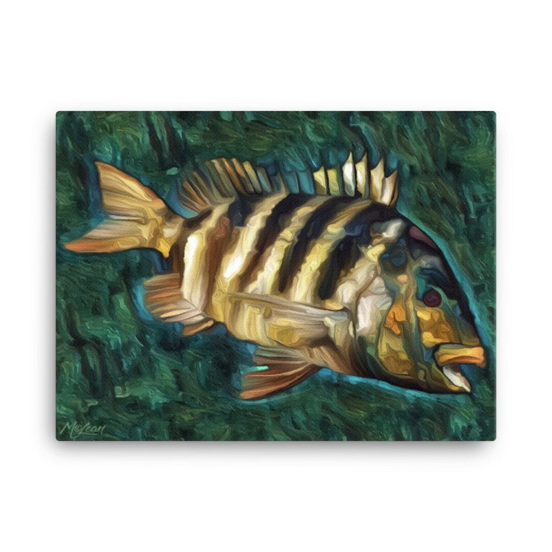 SHEEPSHEAD Inshore Fine Art Canvas Giclee Print Florida Everglades ...