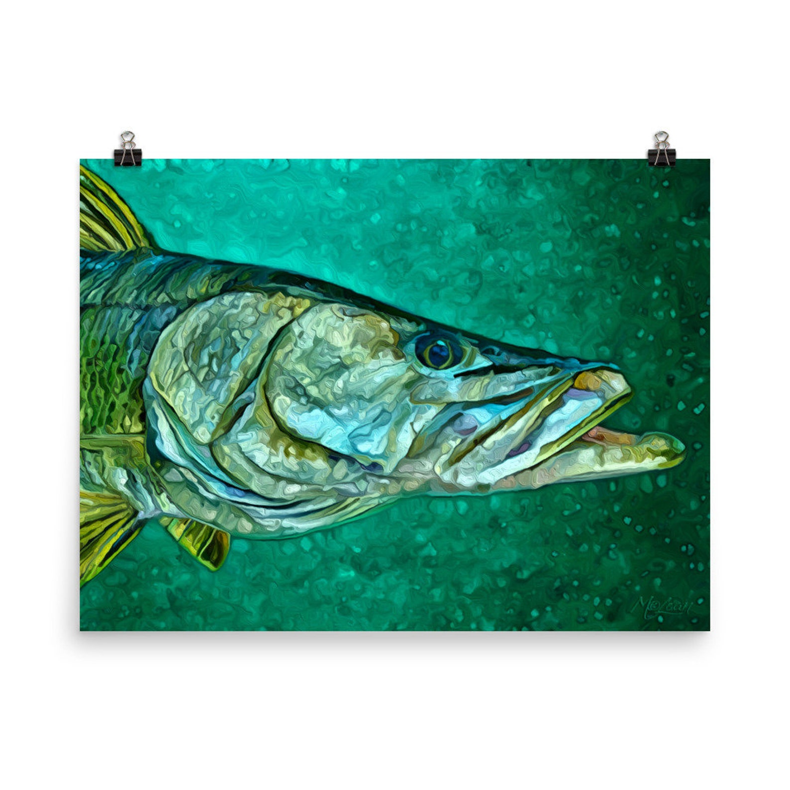 SNOOK Fish Inshore Fine Art Canvas Giclee Print - Florida Everglades ...