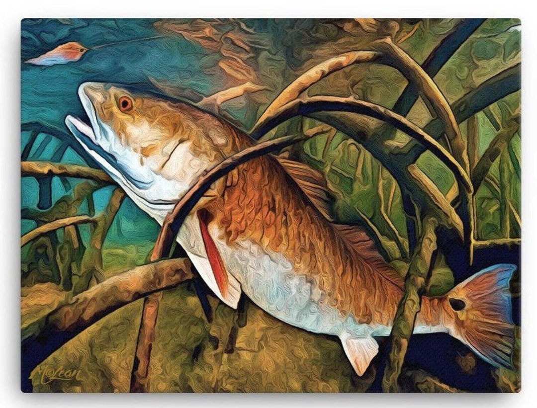 REDFISH red Drum Inshore Fine Art Canvas Giclee Print - Etsy