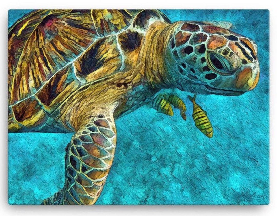 SEA TURTLE Animal Fine Art Canvas Giclee Print - Florida Everglades ...