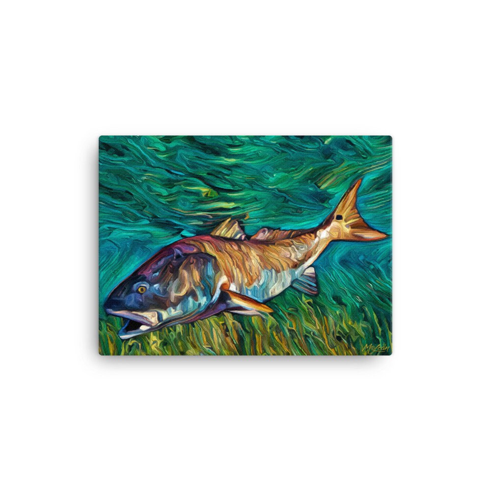 REDFISH (red Drum) Inshore Fine Art Canvas Giclee Print - Florida ...