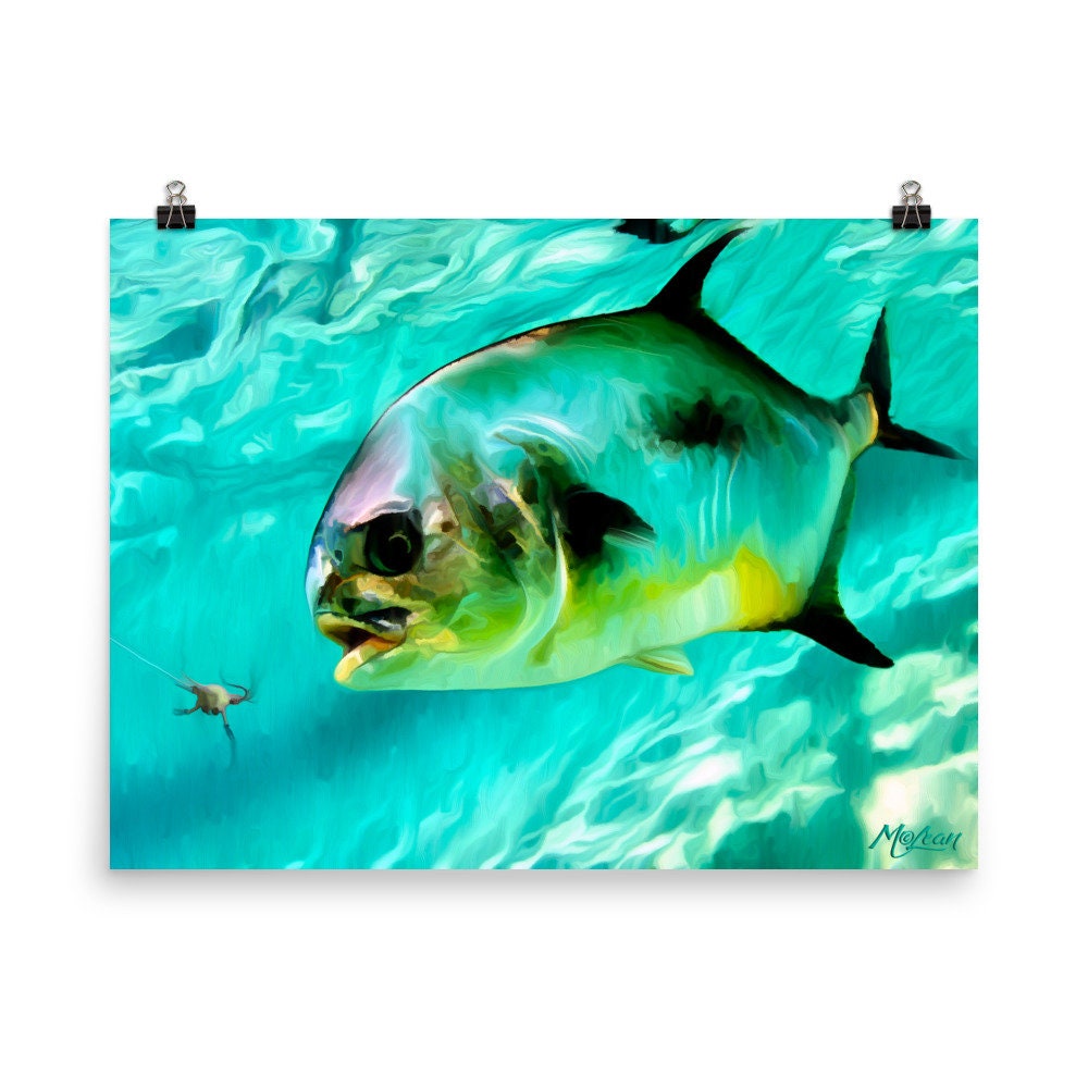 PERMIT Tropical Fish Fine Art Canvas Giclee Print - Florida Everglades ...
